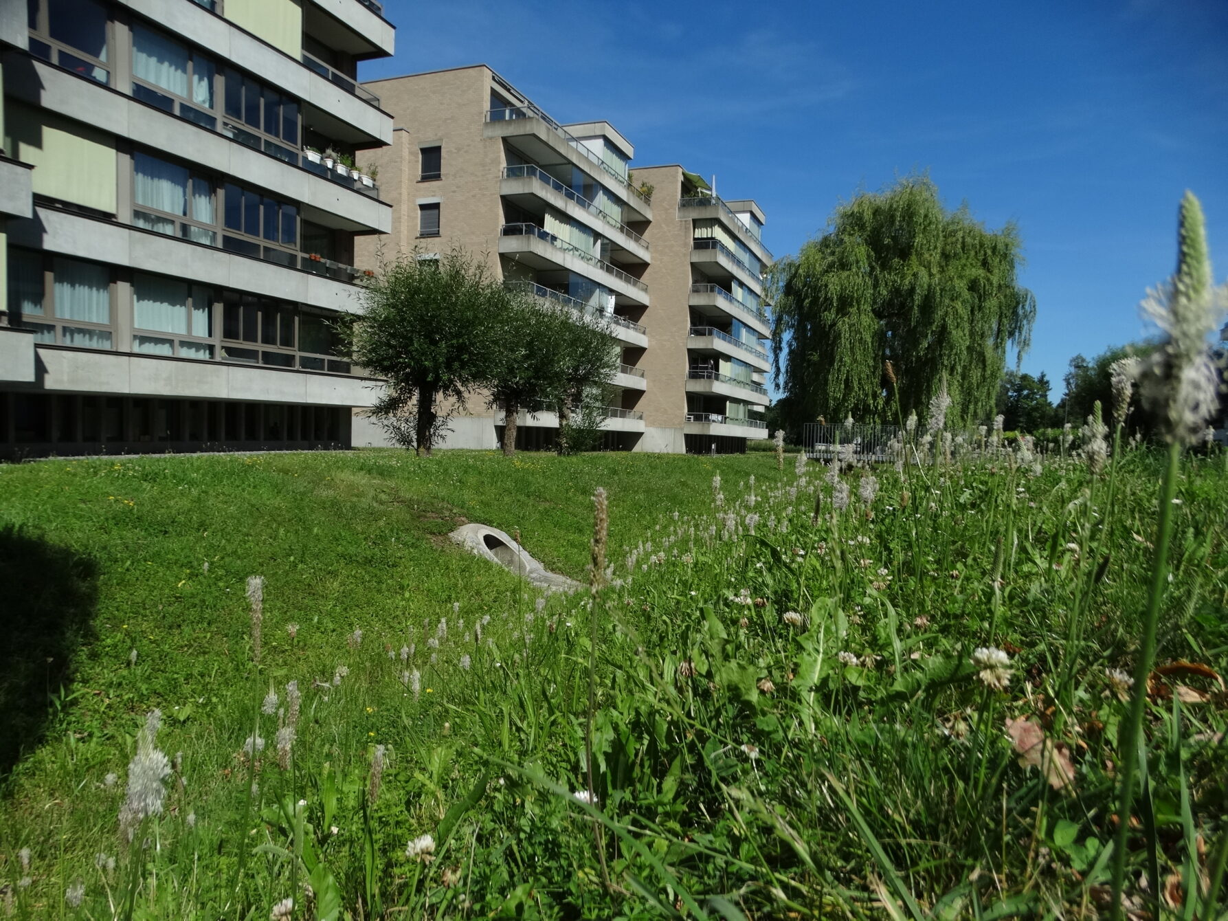 plate-forme d’information ville éponge - pour une gestion de l’eau ...