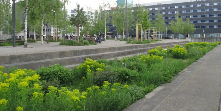 plate-forme d’information ville éponge - pour une gestion de l’eau ...