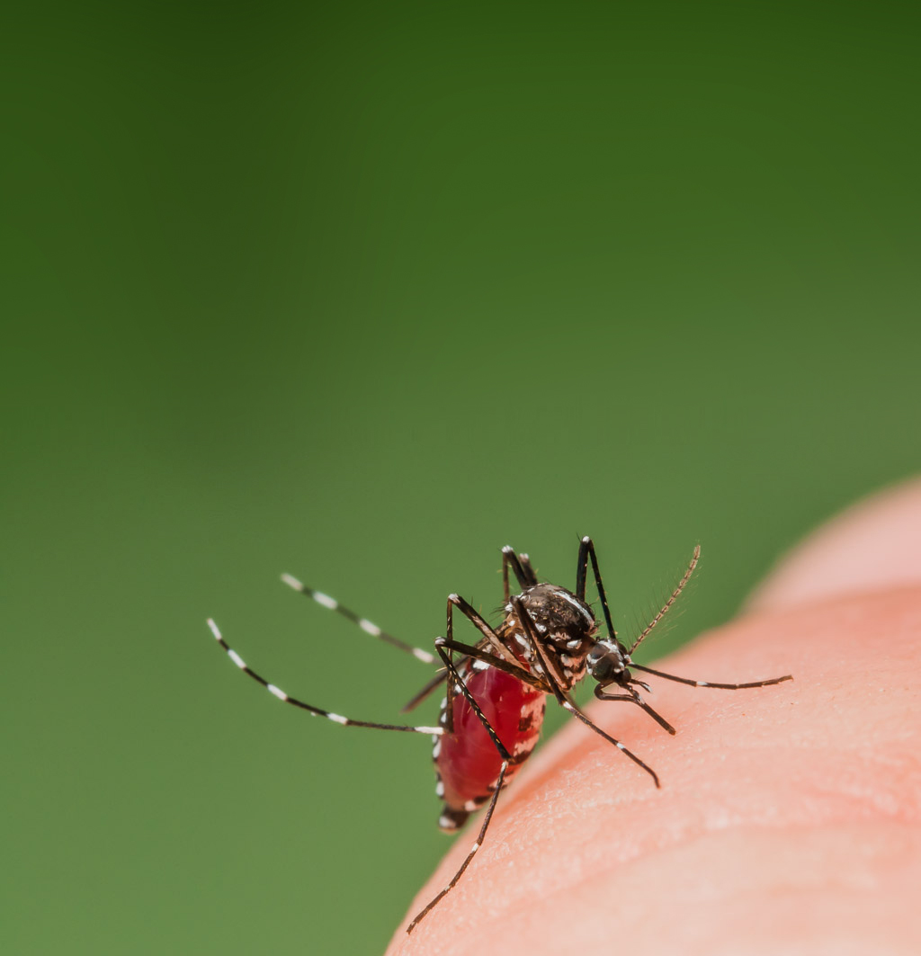 plate-forme d’information ville éponge - pour une gestion de l’eau ...